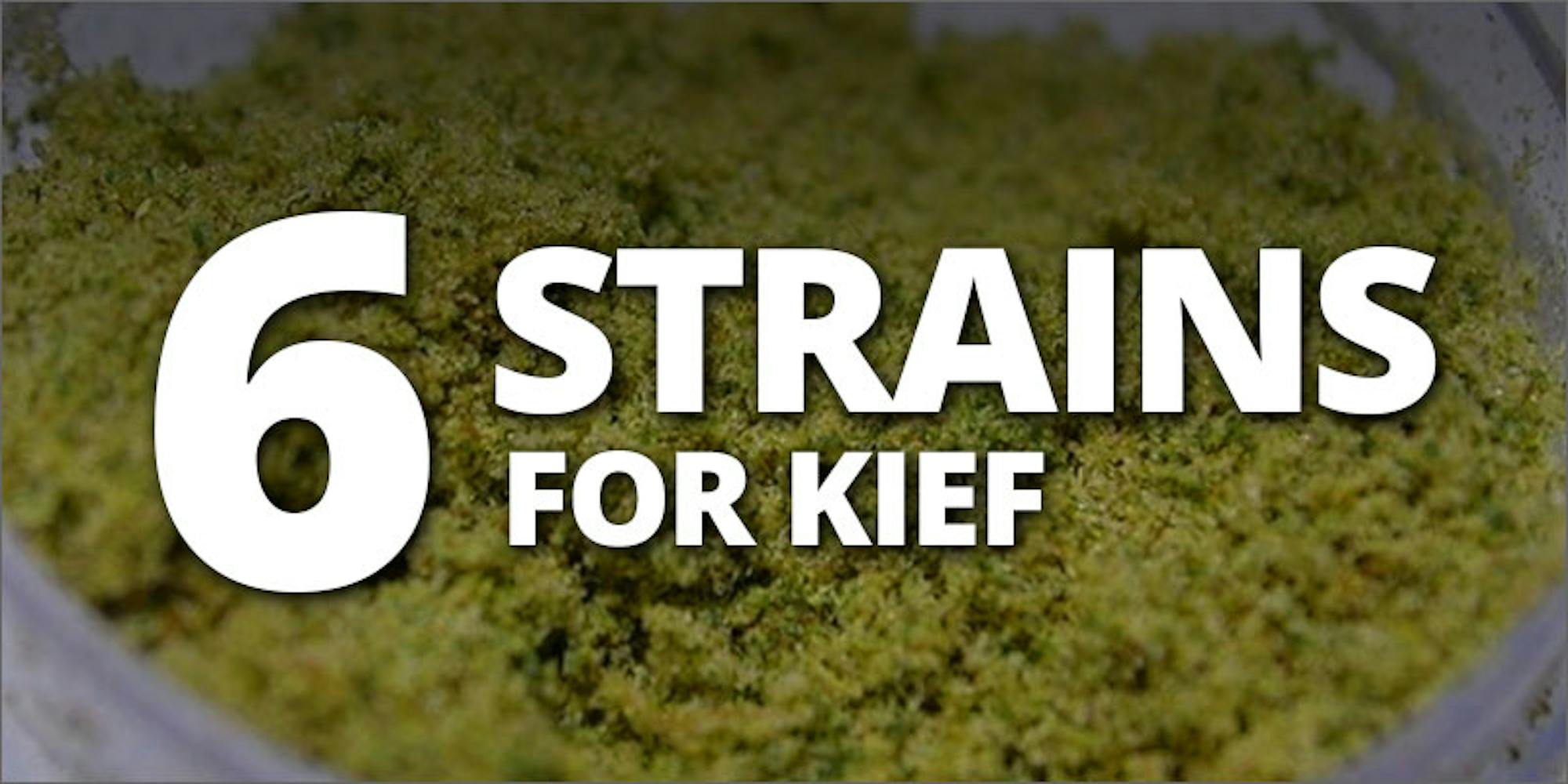 5 Strains That Will Give You A Lot of Kief | Herb