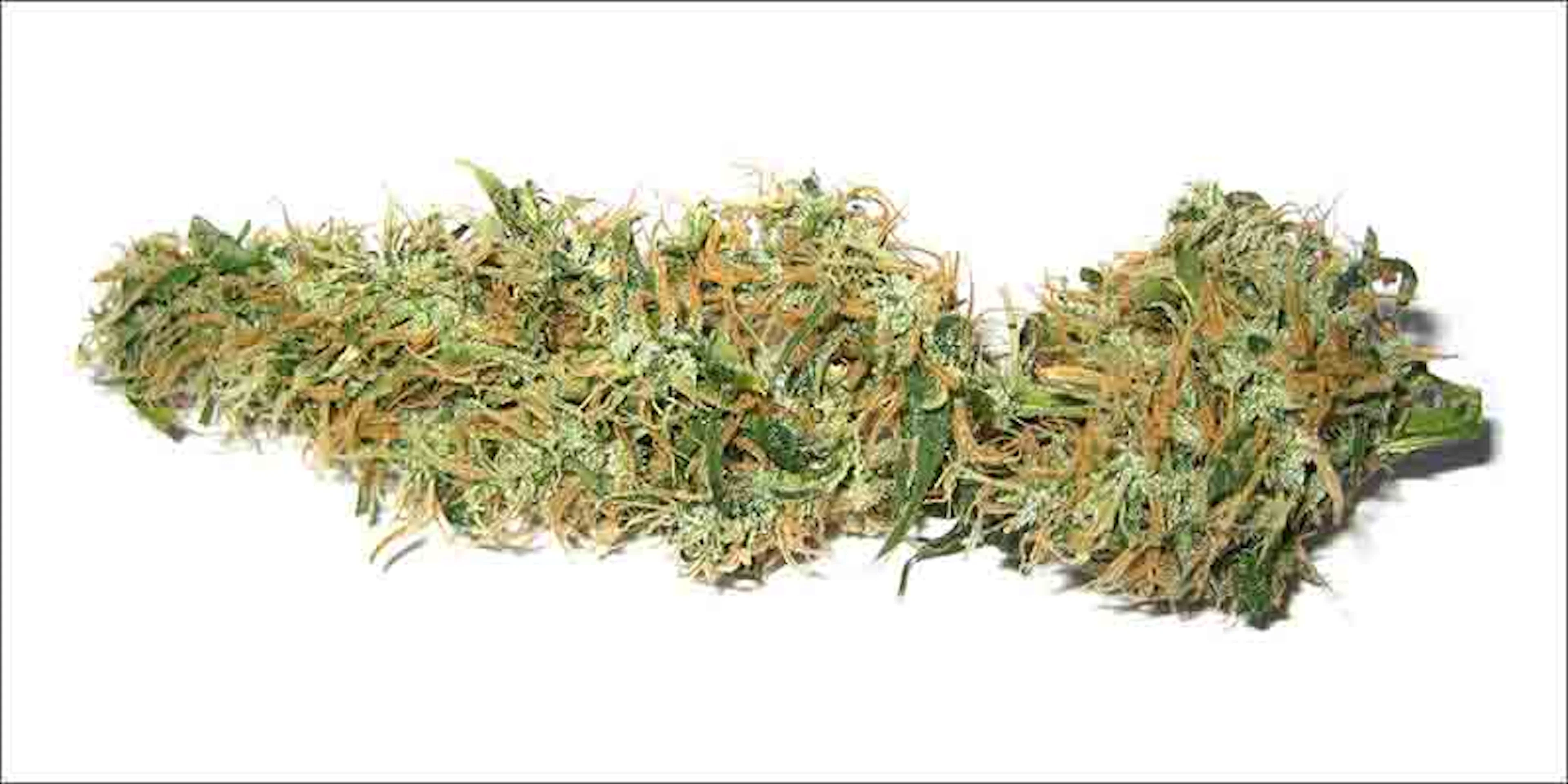 Marijuana As A Schedule 1 Drug What Does It Mean Herb marijuana-as-a-schedule-1-drug-what-does-it-mean-herb