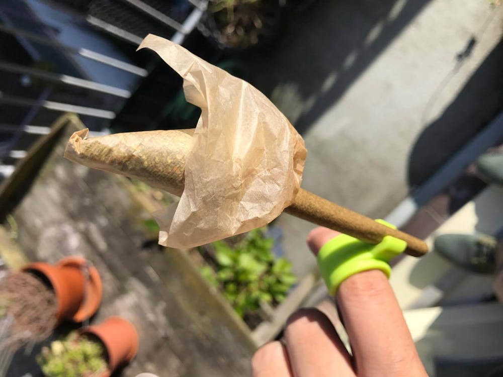 Spliffigami: How To Roll A Dutch Tulip