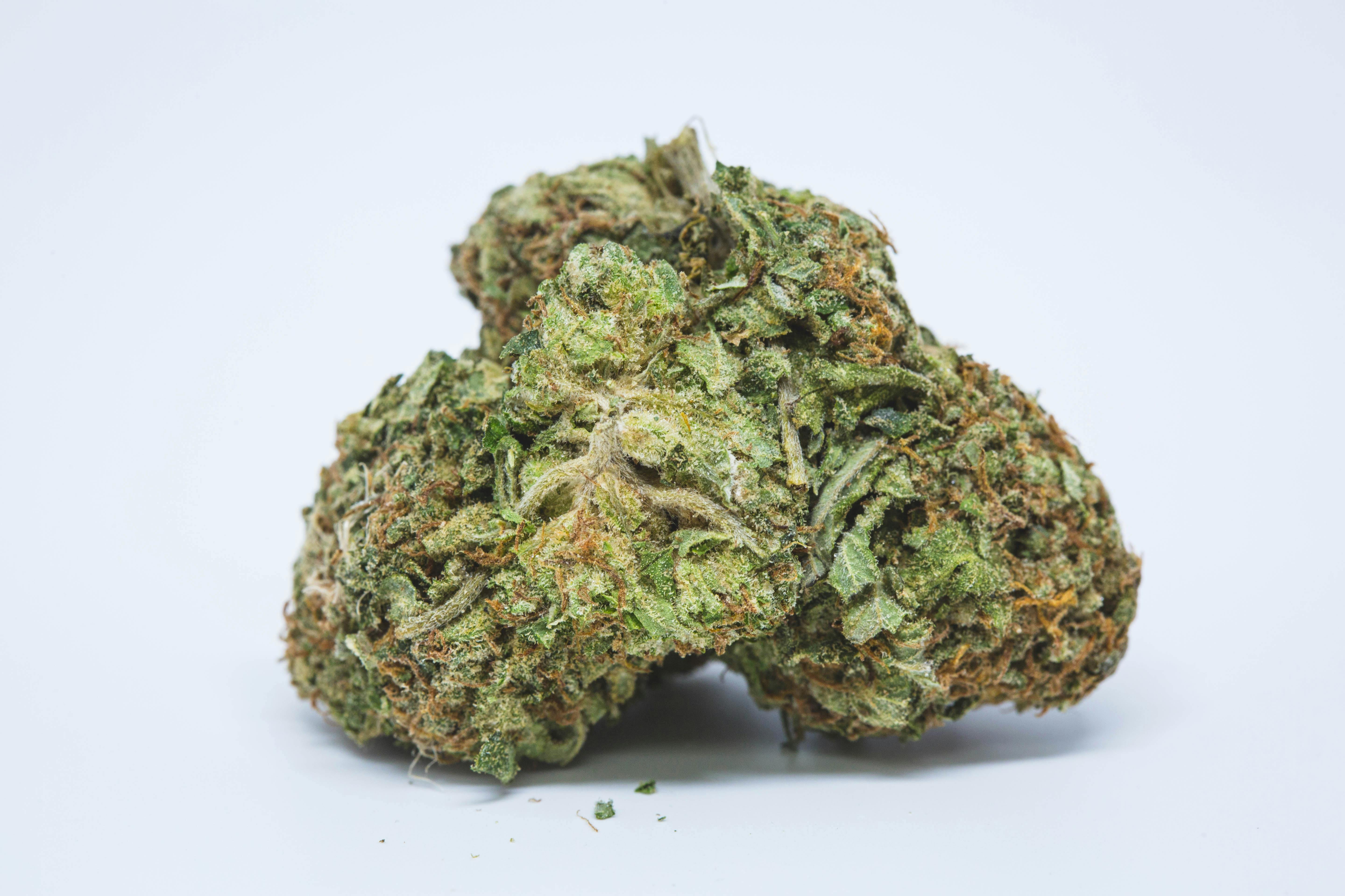 OG Kush Strain of Marijuana | Weed | Cannabis | Herb OG Kush Strain of Marijuana | Weed | Cannabis | Herb