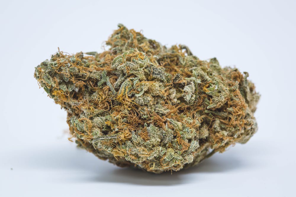 Kosher Kush Strain of Marijuana | Weed | Cannabis | Herb