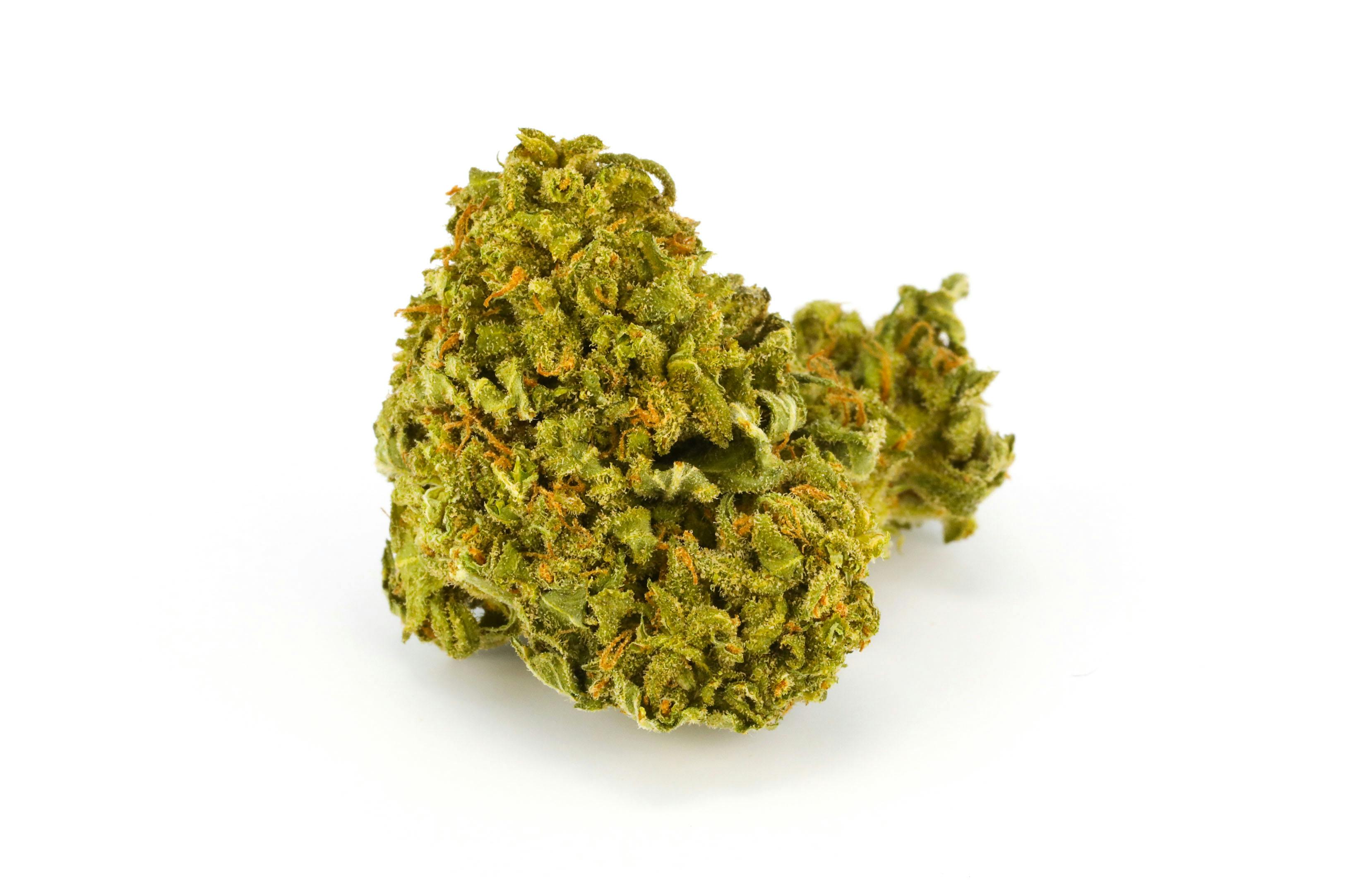 Qwad Dawg Strain of Marijuana | Weed | Cannabis | Herb Qwad Dawg Strain of Marijuana | Weed | Cannabis | Herb