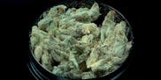 10 Strongest Hybrid Strains On Earth Right Now | Herb