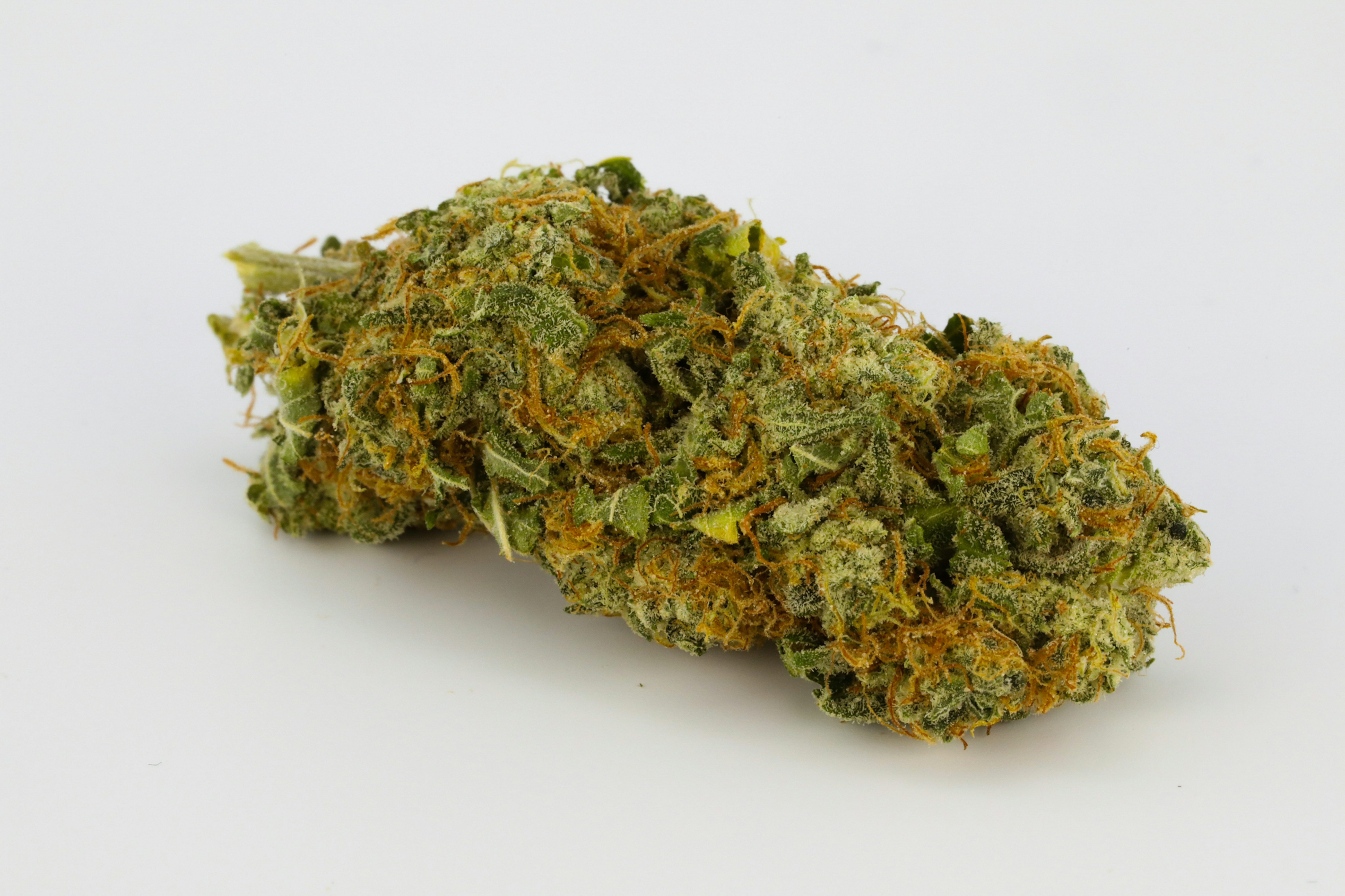 Chemdawg 4 Strain of Marijuana | Weed | Cannabis | Herb | Herb Chemdawg 4 Strain of Marijuana | Weed | Cannabis | Herb | Herb