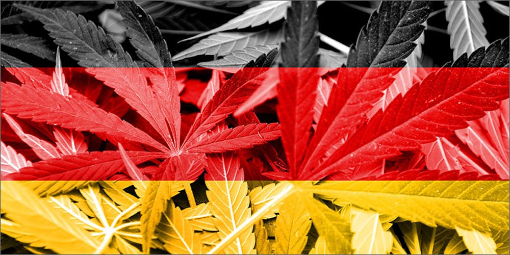 The Green Scene: What $20 Weed Looks Like In Germany | Herb
