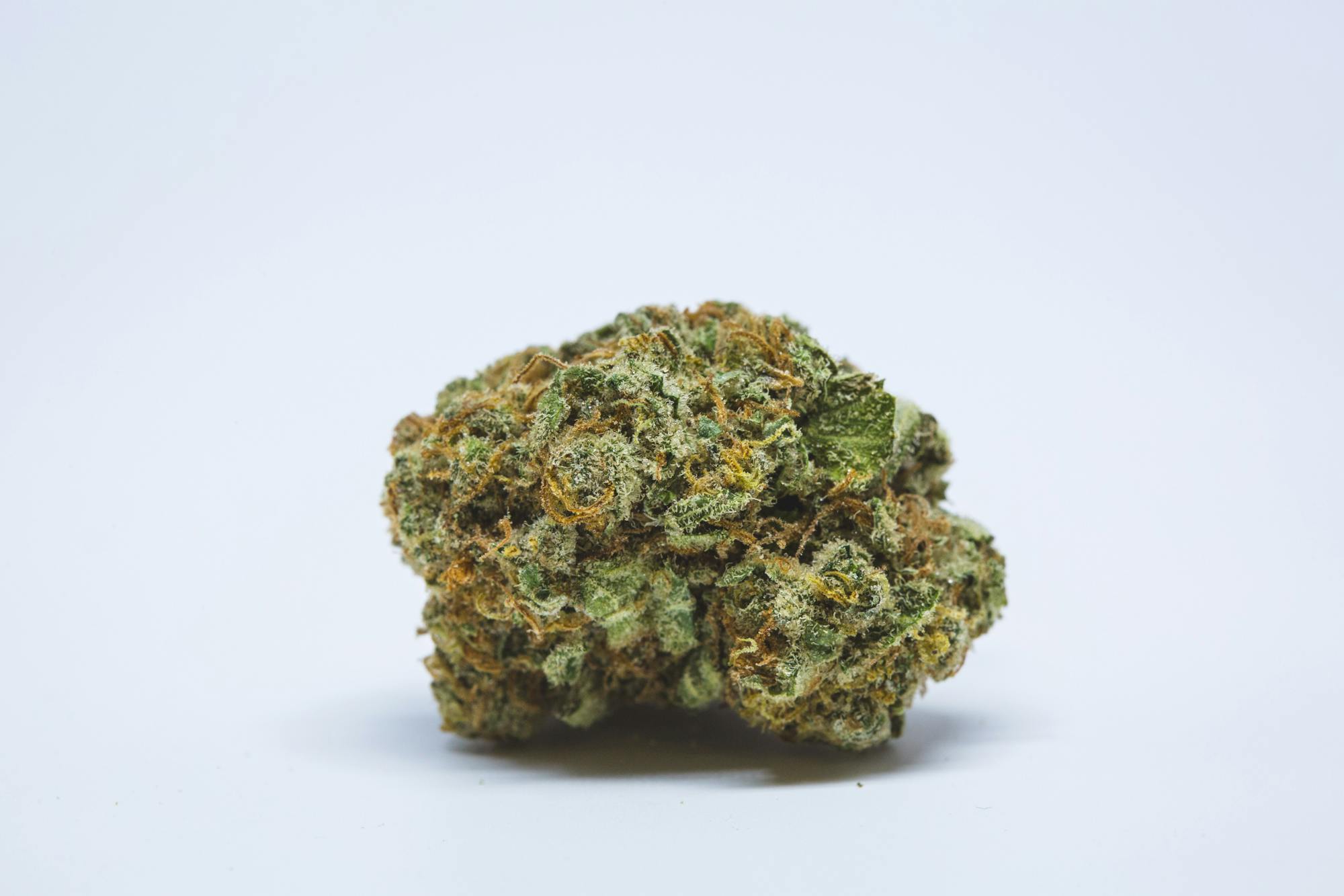 Pure Kush Strain of Marijuana | Weed | Cannabis | Herb | Herb