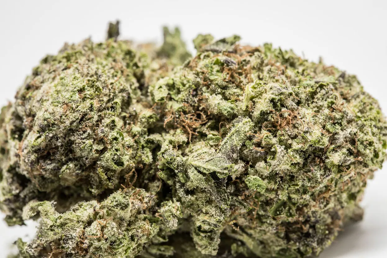 Candy Cookies Strain of Marijuana | Weed | Cannabis | Herb | Herb