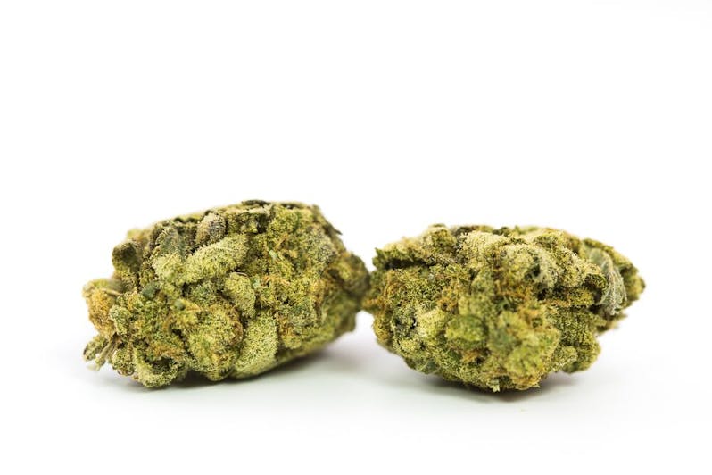 Midnight Strain of Marijuana | Weed | Cannabis | Herb | Herb